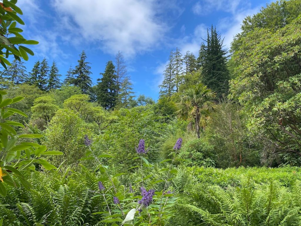 Best Arisaig Walks (and Mallaig and Morar) 2025