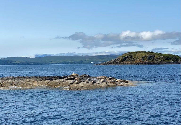 2 Hours in Mallaig: A Steam Train Ultimate Stopover Guide