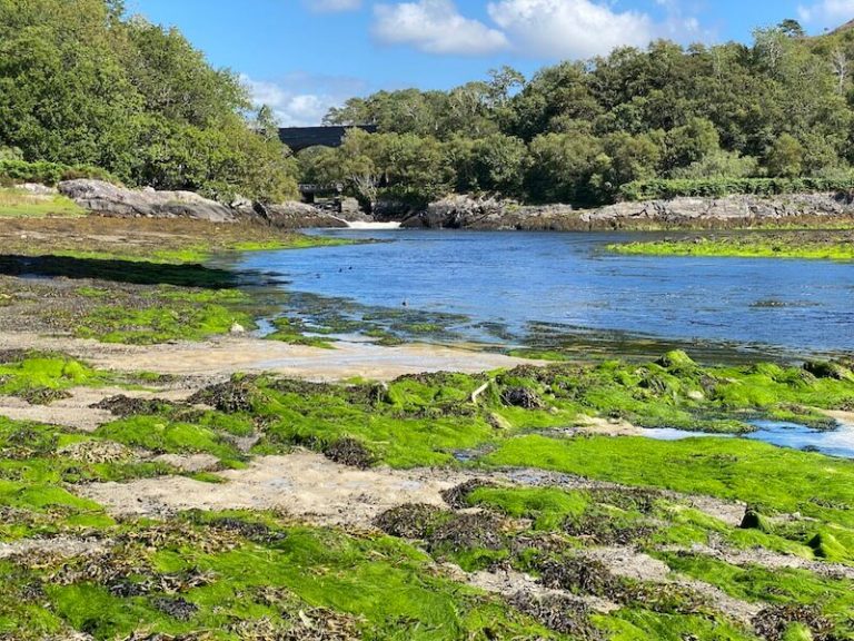 Best Arisaig Walks (and Mallaig and Morar) 2025