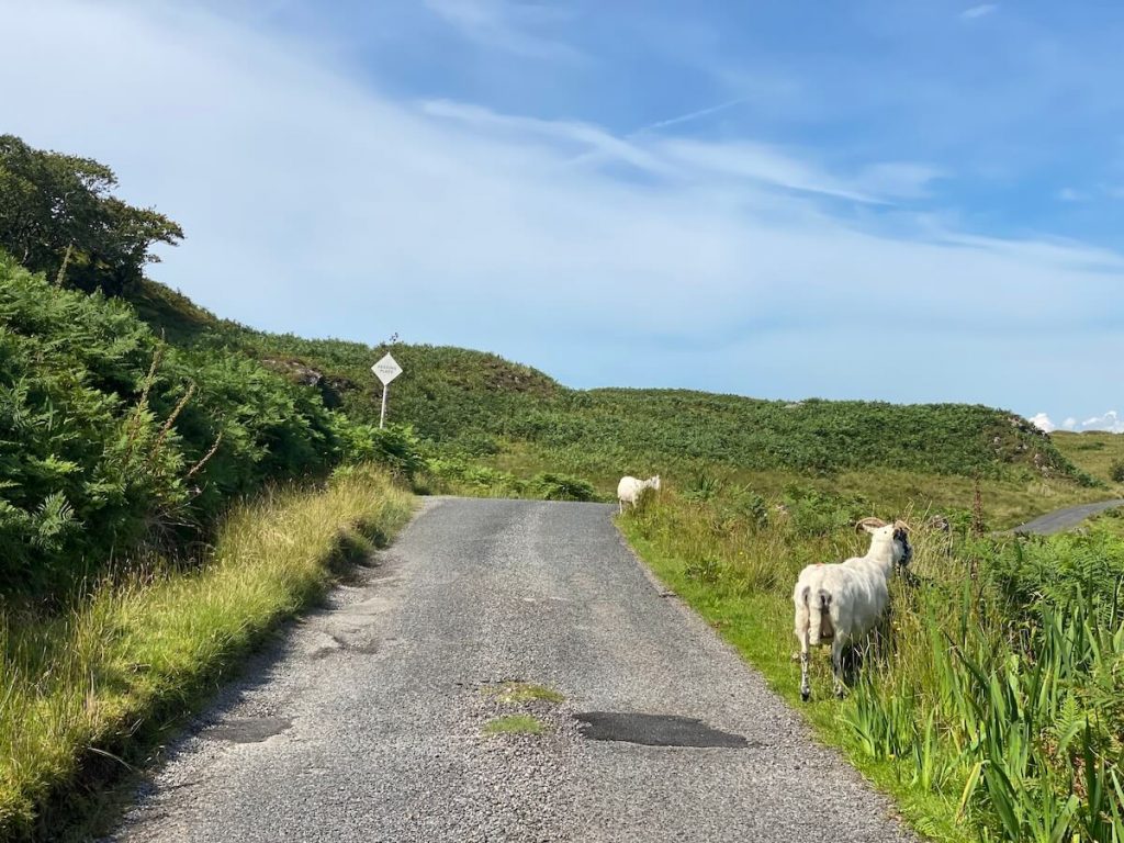 Best Arisaig Walks (and Mallaig and Morar) 2025