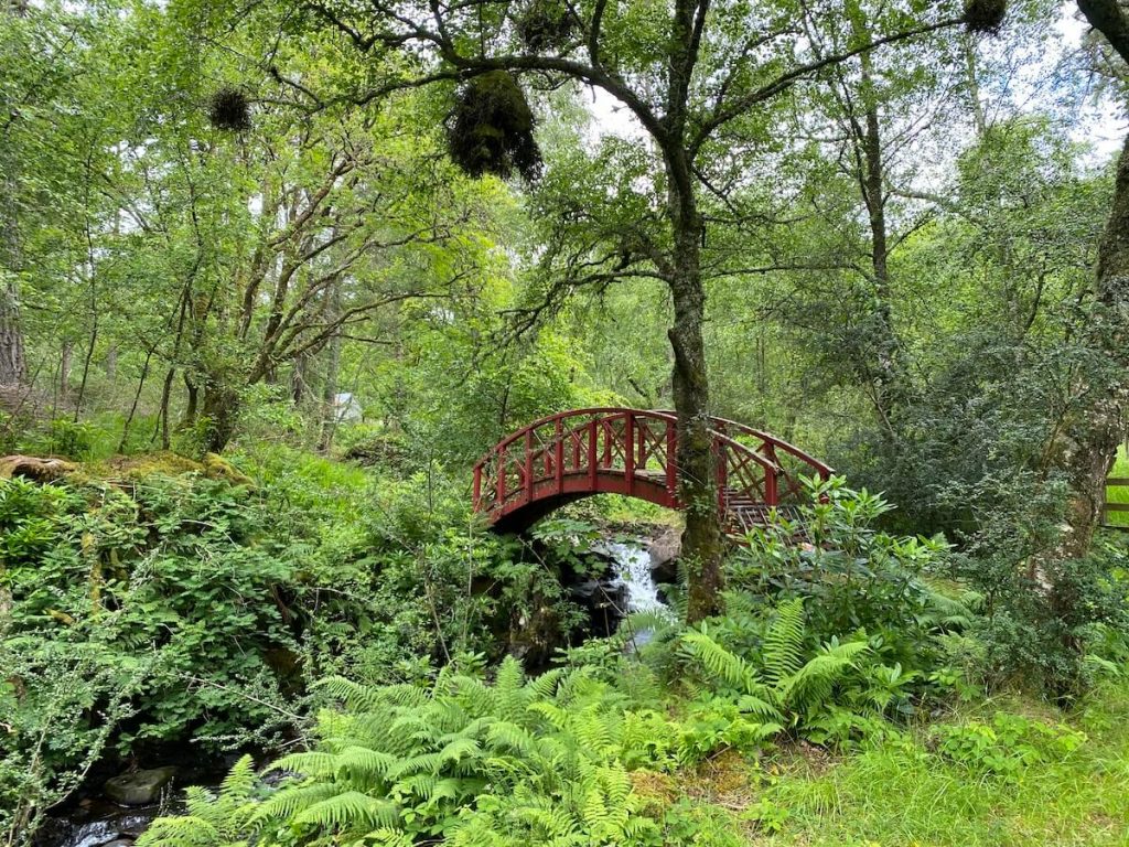 Visiting the Isle of Rum - Ultimate Guide for 2025