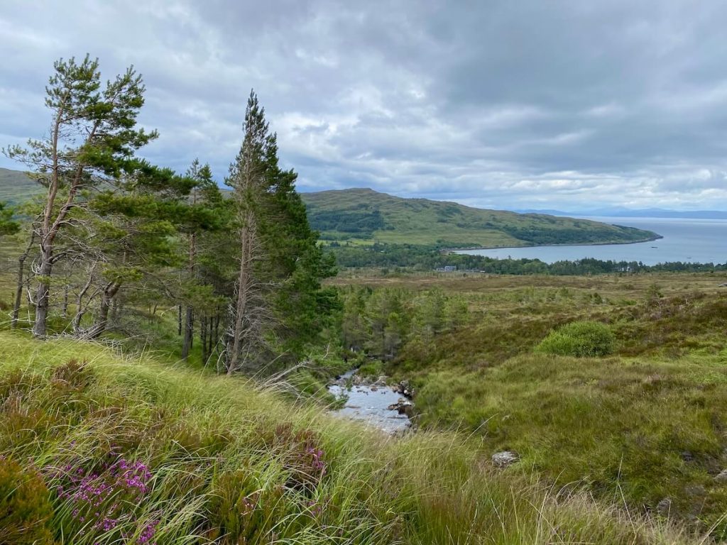 Visiting the Isle of Rum - Ultimate Guide for 2025