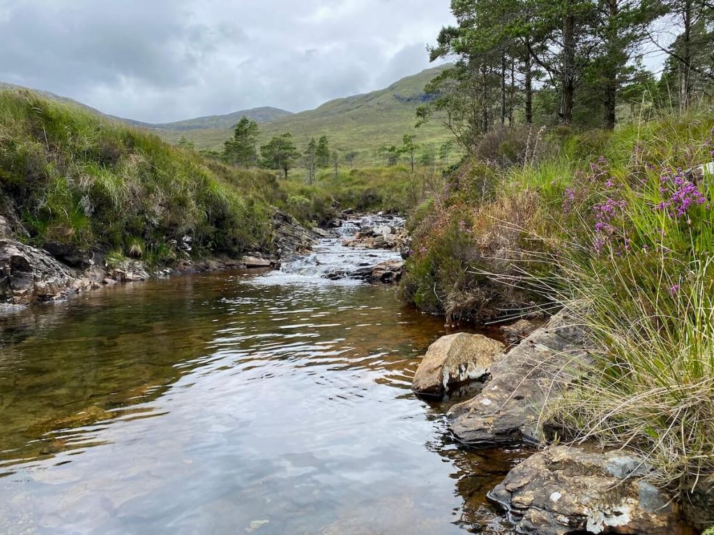 Visiting the Isle of Rum - Ultimate Guide for 2025