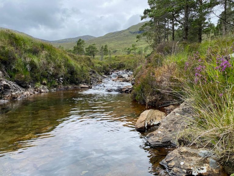 Visiting the Isle of Rum - Ultimate Guide for 2025